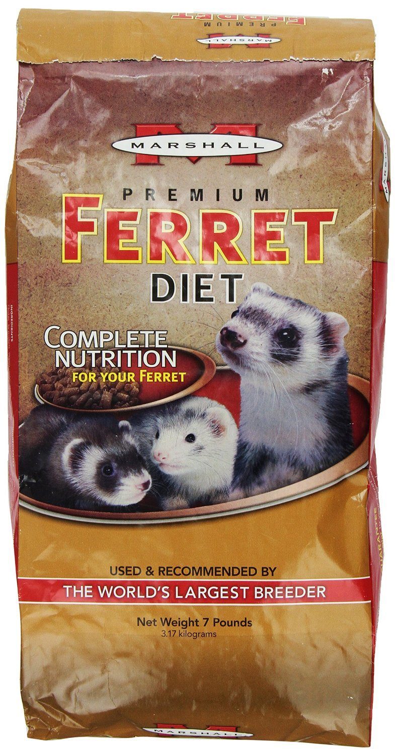 Best Ferret Food: Top Brands and Ferret Diet Options - Pet Territory
